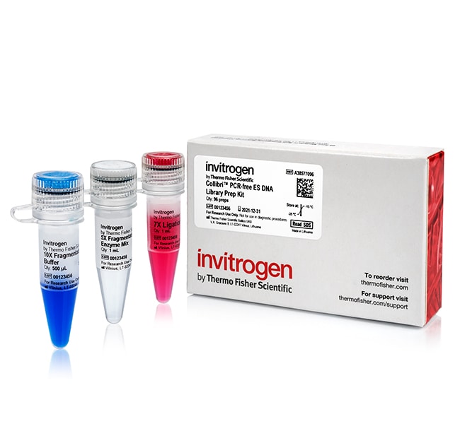 Invitrogen Collibri DNA Library Preparation Kit Modules 96 Preps | Buy ...