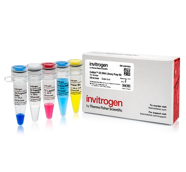 Invitrogen Collibri DNA Library Preparation Kit Modules 24 Preps | Buy ...