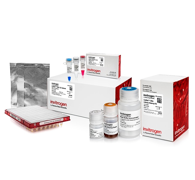 Invitrogen Collibri PCR-free ES DNA Library Prep Kits for Illumina ...
