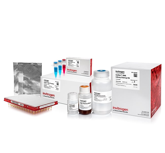 Invitrogen Collibri PCR-free PS DNA Library Prep Kits for Illumina ...