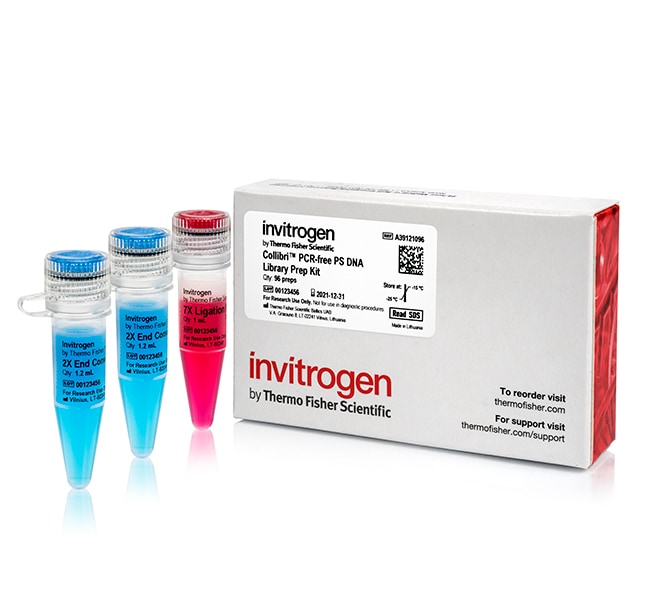 Invitrogen Collibri DNA Library Preparation Kit Modules 96 Preps | Buy ...