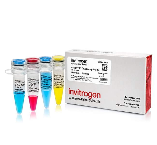 Invitrogen Collibri DNA Library Preparation Kit Modules 24 Preps | Buy ...