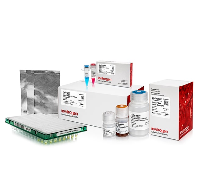 Invitrogen Collibri PCR-free PS DNA Library Prep Kits for Illumina ...