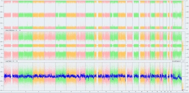 Thermo Scientific KaryoStat+ Genetic Stability Assay Service 1 Sample ...
