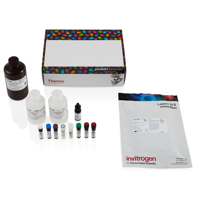 Invitrogen™ eBioscience™ Immune Response T Cell Receptor Signaling Kit ...