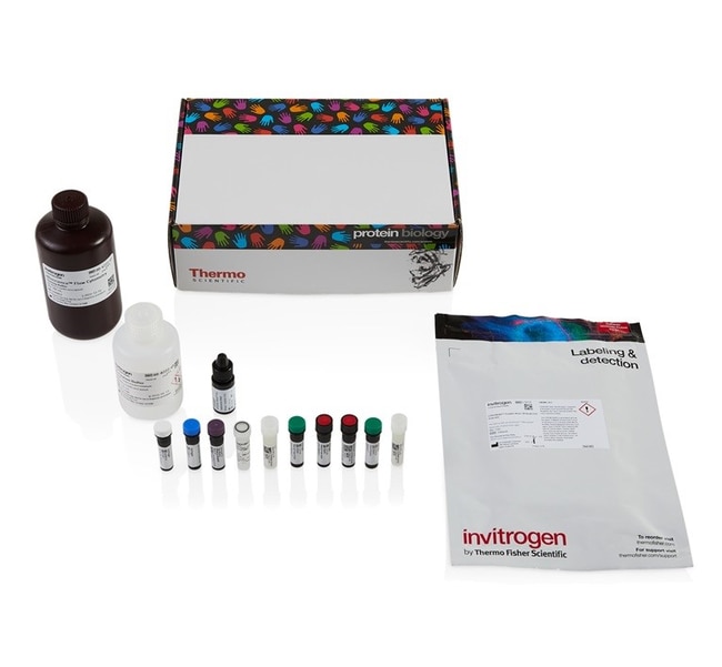 Invitrogen eBioscience Immune Response T Cell Activation Induced ...