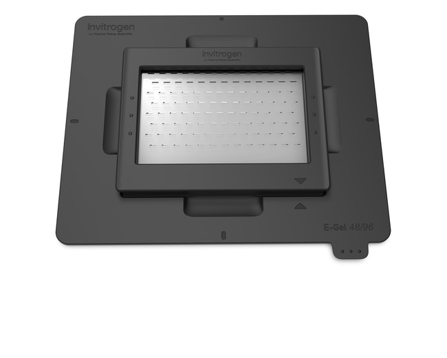 Invitrogen iBright System Tray Adapter for E-Gel Agarose Gels E-Gel ...