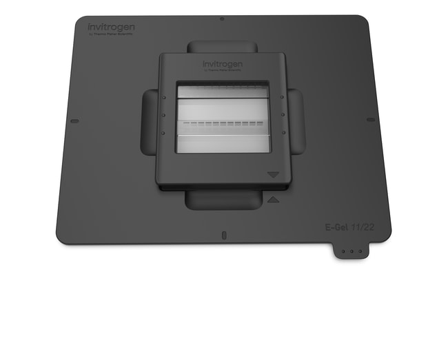 Invitrogen iBright System Tray Adapter for E-Gel Agarose Gels E-Gel ...