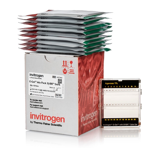 Invitrogen E-Gel with SYBR Safe Mix Pack 10 Gels | Buy Online ...