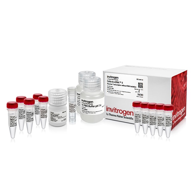 Invitrogen Cells-to-cDNA II Kit 40 reactions:PCR Equipment and Supplies ...