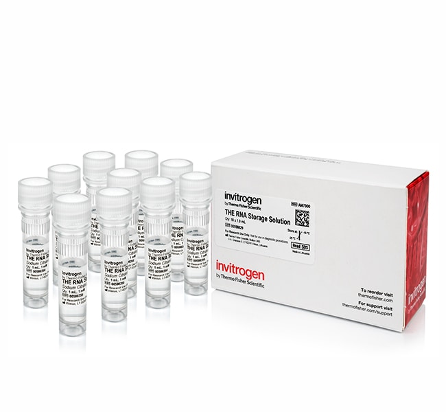 Invitrogen THE RNA Storage Solution 10 x 1 mL | Buy Online | Invitrogen ...