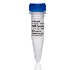 Invitrogen Century -Plus RNA Markers 1 tube | Buy Online | Invitrogen ...