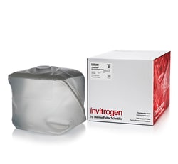 Invitrogen RNaseZap RNase Decontamination Solution 4 L | Buy Online ...
