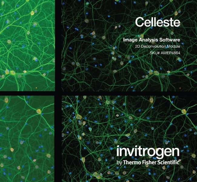 Invitrogen Celleste 2D Deconvolution Package For Use With (Equipment ...