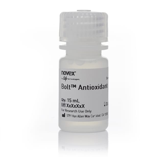 Invitrogen™ Bolt™ Antioxidant | Fisher Scientific