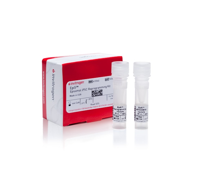 Invitrogen Epi5 Episomal iPSC Reprogramming Kit 1 kit | Buy Online ...