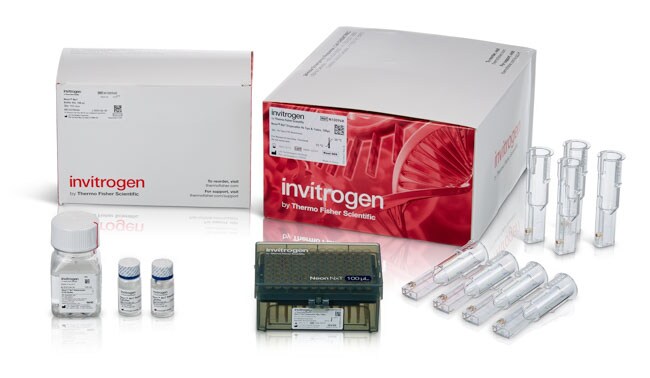 Invitrogen Neon NxT Electroporation System 100- L Kit 96 x 2 Reactions ...