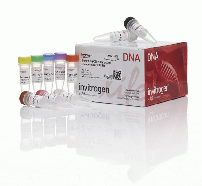 Invitrogen GeneArt Site-Directed Mutagenesis PLUS System 10 Reactions ...