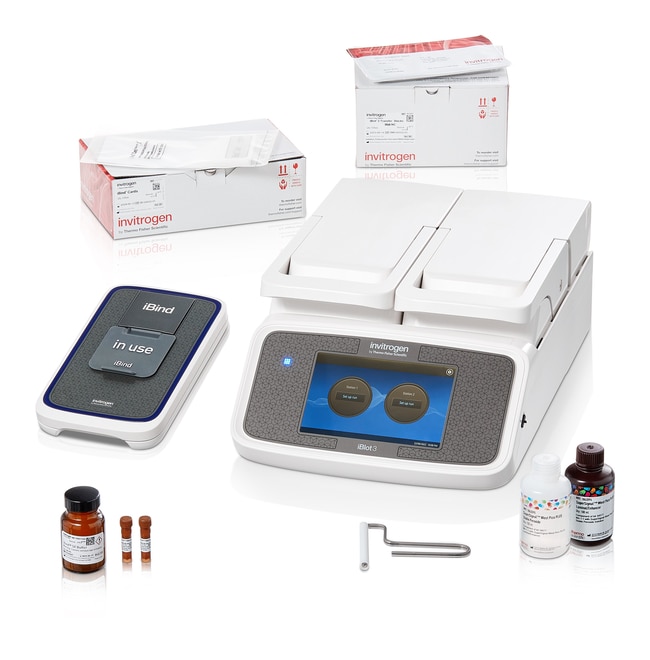 Invitrogen™ Kit de inicio de iBlot™ 3 e iBind™ Western 1 Kit Ver ...
