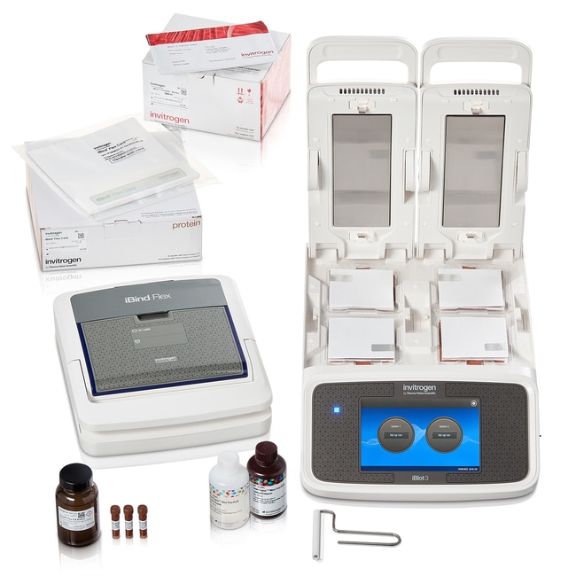 Invitrogen iBlot 3 iBind Flex Western Starter Kit 1 kit | Buy Online ...