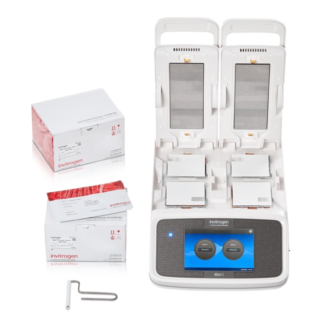 Invitrogen Kit de inicio iBlot 3, PVDF Starter Kit only:Productos ...