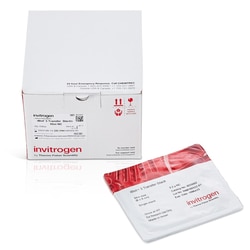 Invitrogen iBlot 3 Transfer Stacks, mini, nitrocellulose 10 Stacks ...