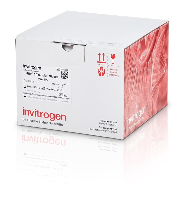 Invitrogen™ iBlot™ 3 Transfer Stacks, mini, nitrocellulose 10 x 3 ...
