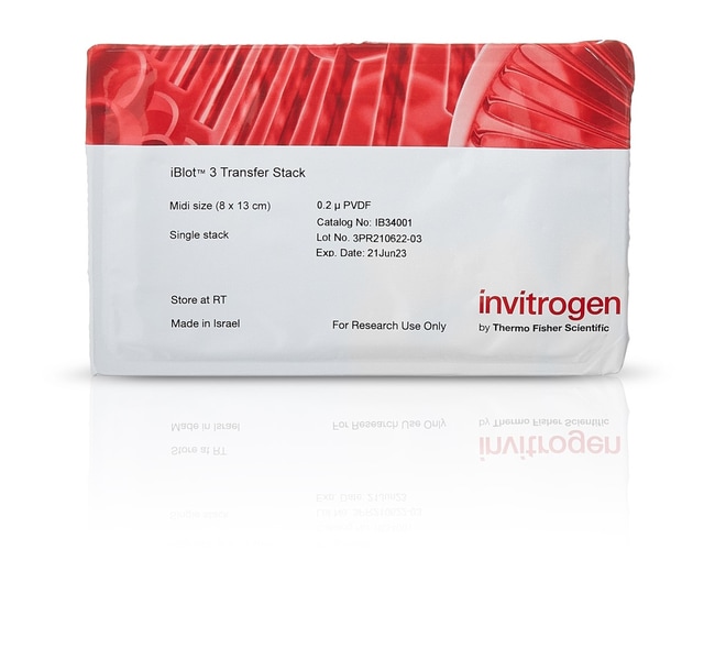 Invitrogen iBlot 3 Transfer Stacks, midi, PVDF 3 x 10 Stacks:Western ...