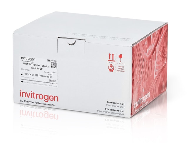 Invitrogen iBlot 3 Transfer Stacks, midi, PVDF 3 x 10 Stacks:Western ...