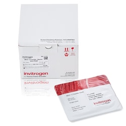 Invitrogen iBlot 3 Transfer Stacks, mini, PVDF 10 Stacks | Buy Online ...