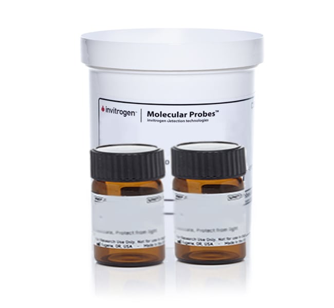 Invitrogen NBT/BCIP Reagent Kit 1 Kit | Buy Online | Invitrogen ...