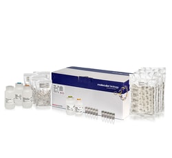 Thermo Scientific GeneJET Genomic DNA Purification Kit 250 Preps | Buy ...