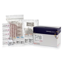 Thermo Scientific GeneJET RNA Cleanup and Concentration Micro Kit 50 ...