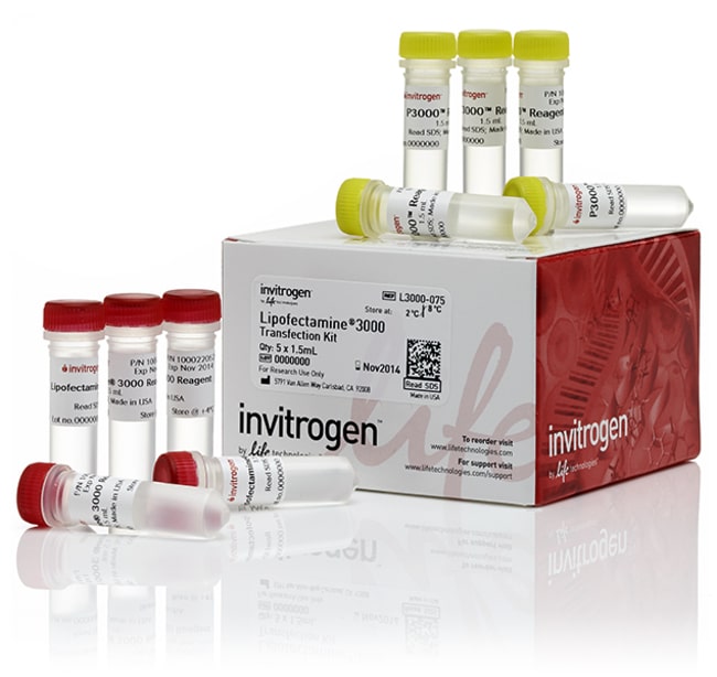 Invitrogen Lipofectamine 3000 Transfection Reagent 5 x1.5 mL:Life Sciences | Fisher Scientific