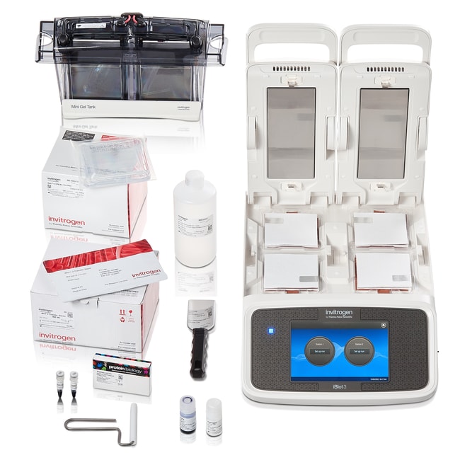 Invitrogen Bolt Welcome Pack with iBlot 3 System 1 each | Buy Online ...