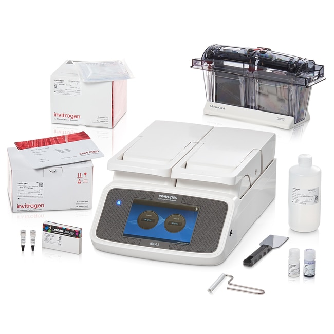Invitrogen Bolt Welcome Pack with iBlot 3 System 1 each | Buy Online ...