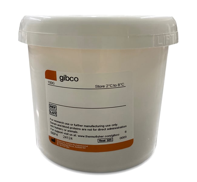 Gibco AlbuMax I Lipid Rich BSA 100 g | Buy Online | Gibco™ | Fisher ...