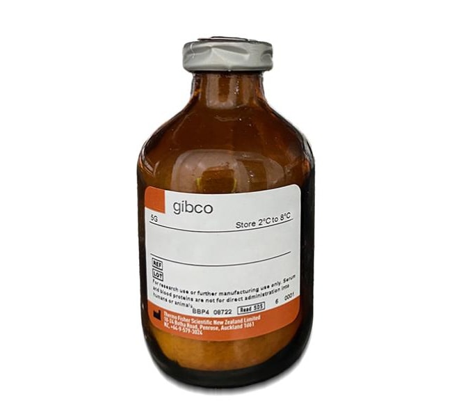 Gibco AlbuMax II Lipid Rich BSA 5 g | Buy Online | Gibco™ | Fisher ...