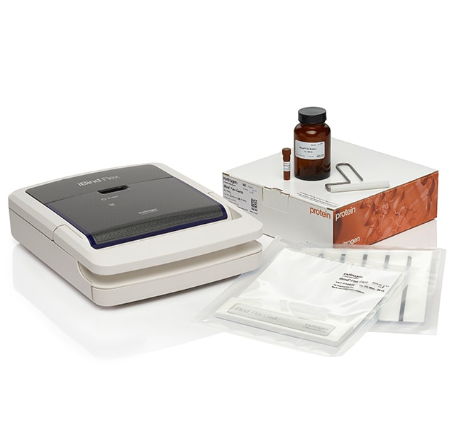 Invitrogen iBind Flex Western Starter Kit 1 kit | Buy Online ...