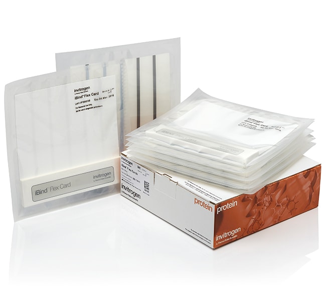 Invitrogen iBind Flex Cards Card | Buy Online | Invitrogen™ | Fisher ...