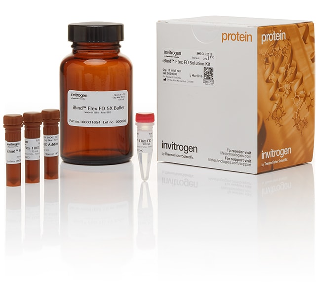 Invitrogen iBind Flex Fluorescent Detection (FD) Solution Kit 1 kit ...