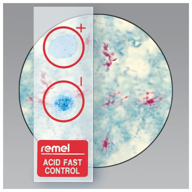 Thermo Scientific™ Remel™ QC-Slide™ AFB Stain Control: Contrôles ...