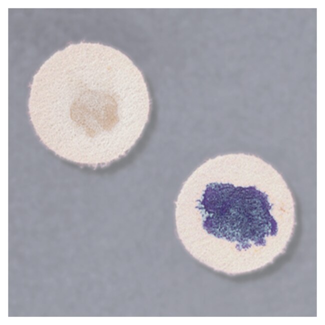 Thermo Scientific Microdase Disks 25 Disks/Vial:Diagnostic Tests and ...