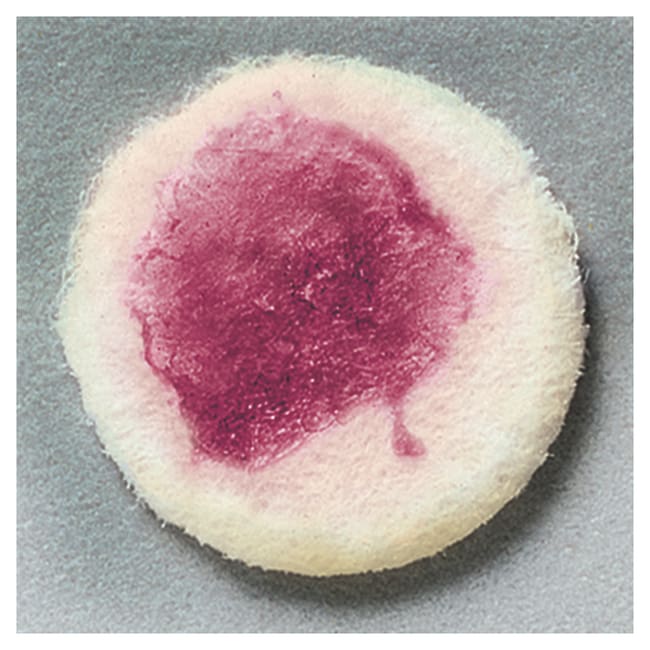 Thermo Scientific PRO Disk with Reagent PRO disk:Microbial ...