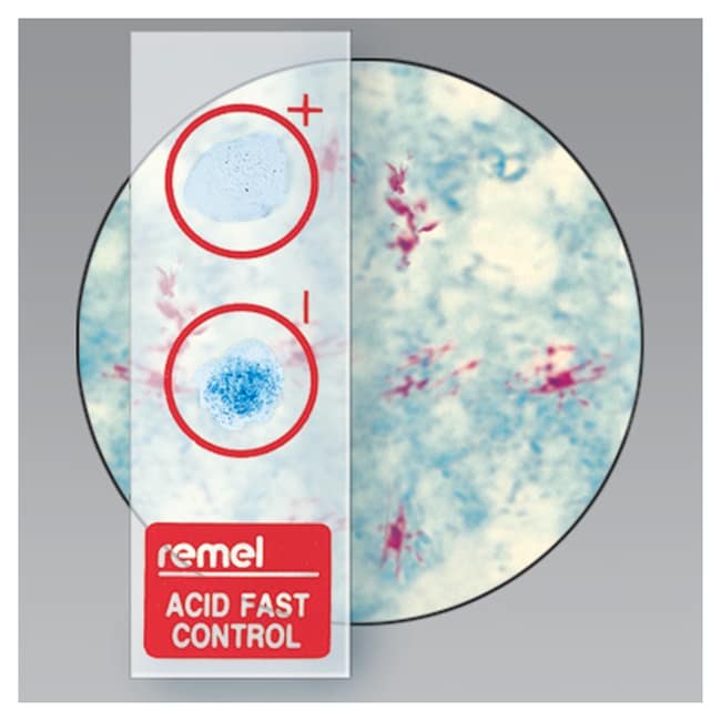 Thermo Scientific Remel QC-Slide AFB Stain Control 10/Pk.:Diagnostic ...