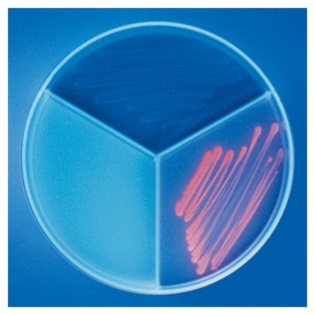 Thermo Scientific Remel Haemophilus ID II Triplate:Microbiological ...