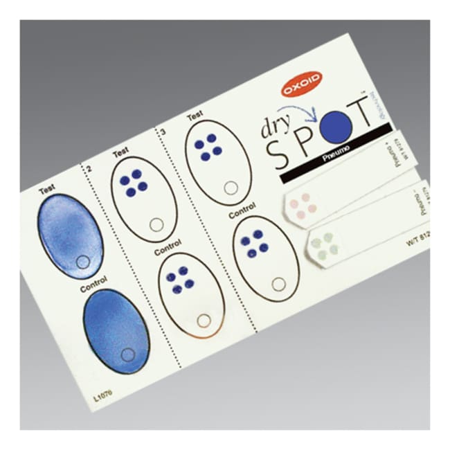 Thermo Scientific™ Oxoid™ Streptococcal Grouping Disposable Reaction ...