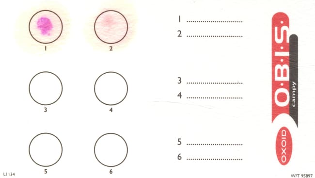 Thermo Scientific Biochemical Identification System (O.B.I.S.) Campy 60 ...