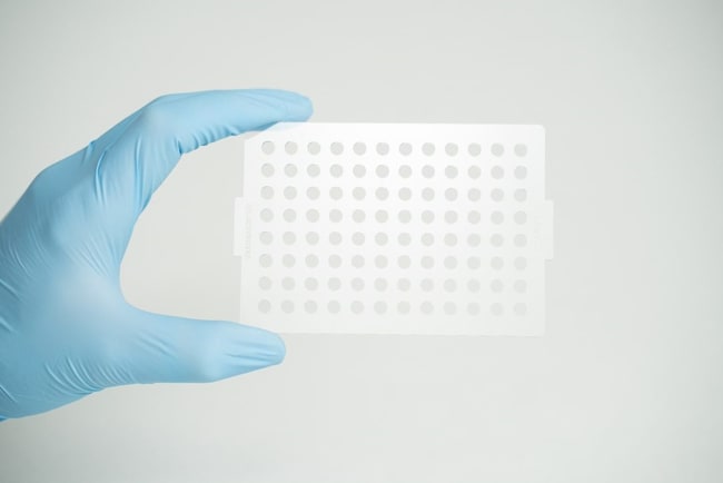 Thermo Scientific Applied Biosystems SimpliAmp Strip Plate Tray ...