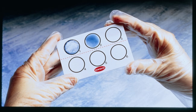 Thermo Scientific™ Oxoid™ Streptococcal Grouping Disposable Reaction ...